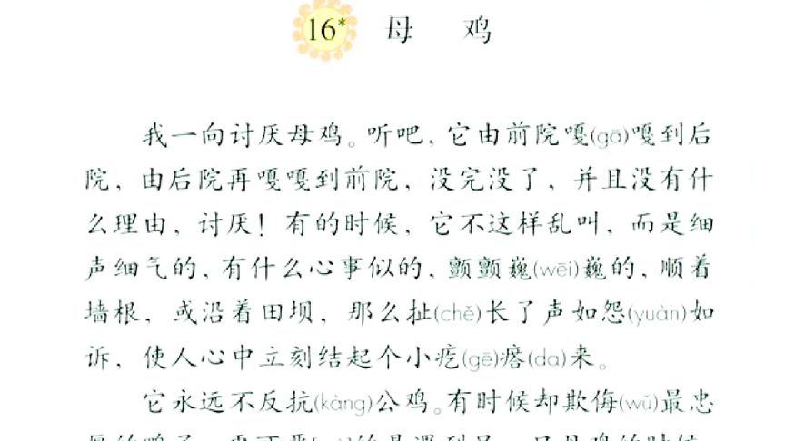 教师资格考试面试-28,试讲内容:人教版语文《母鸡》2