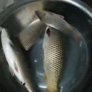 咘咘啦啦嗦 