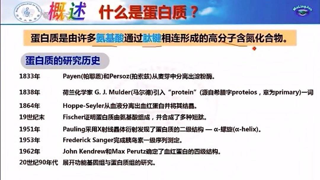 8 什么是蛋白质(简介)