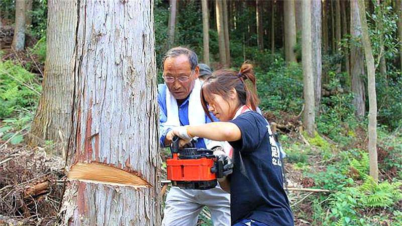 为什么日本要大量砍伐树木?竟然出口中国?知道后我笑了!