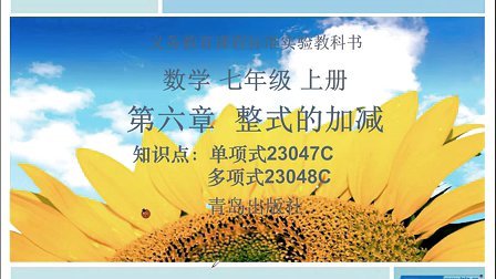青岛出版社六三制初中数学七年级上第六章整式的加减单项式多项式