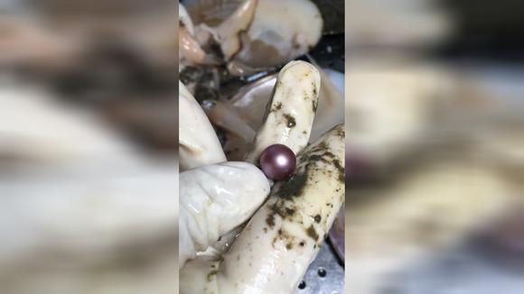 蚌壳里面的这种珍珠值钱吗?