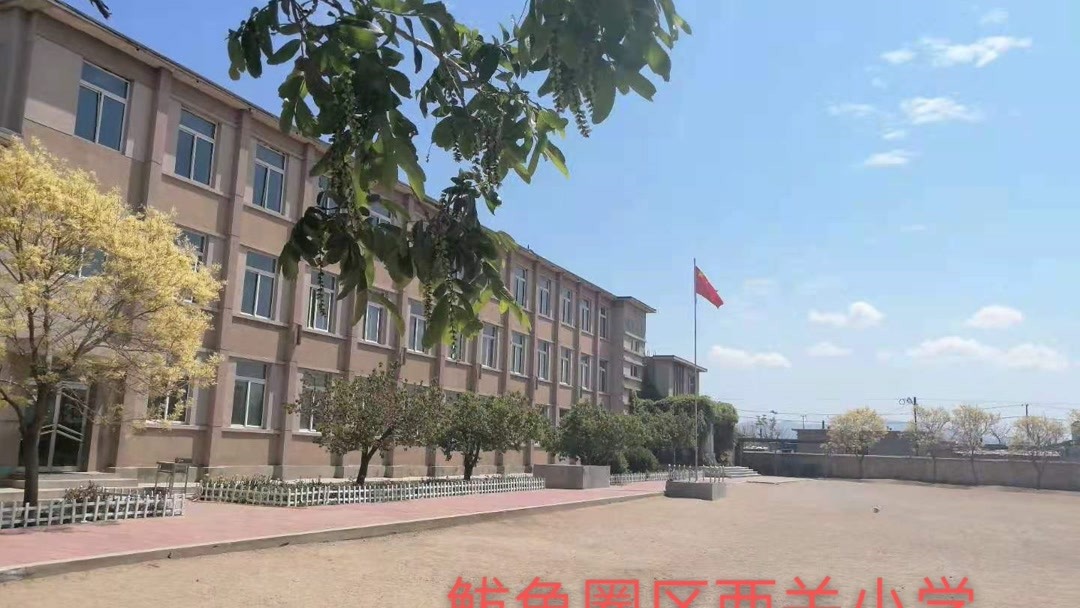 柳伟 六年级 17.《他们那时候多有趣啊》共1课时