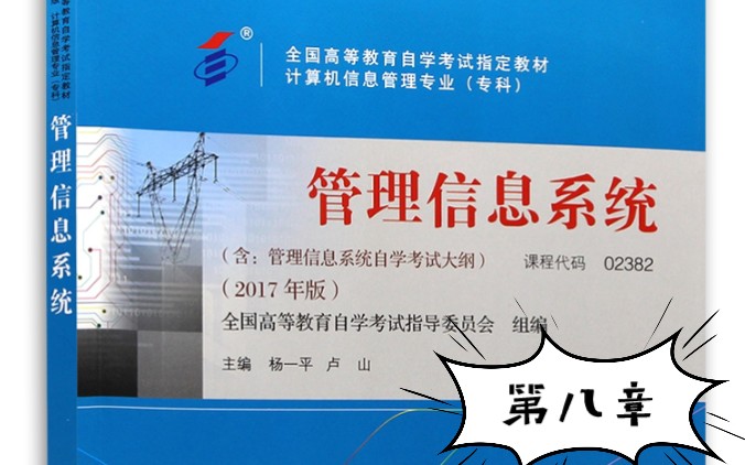 自考02382管理信息系统高频考点汇总第八章