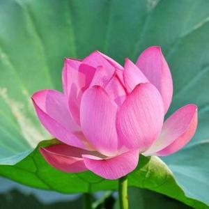 维修中 