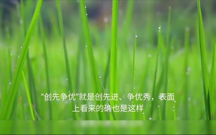 幼儿教师爱岗敬业,争先创优主题征文演讲稿