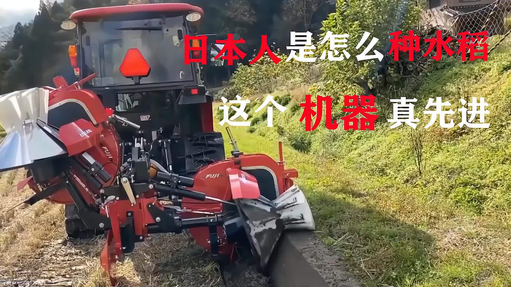 日本人是怎么种水稻的?这些机器真先进,我还是第一次见