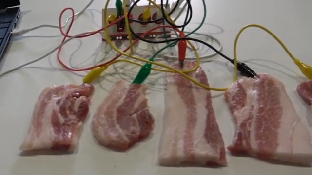 猪肉能当键盘用?老外将控制器连在猪肉上,用电脑一按真的能用