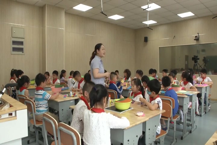苏少版小学美术二年级下《7花儿朵朵(二)》-尹老师优质课公开课教学...