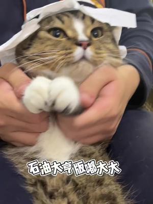 #世界杯 中国队是哪一场啊?#卡塔尔世界杯 #阿根廷 #世界杯萌宠氛围组