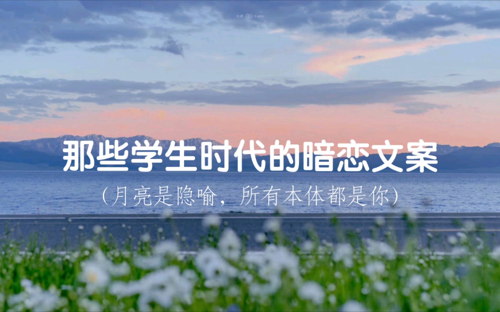 “爱意随风起,风止意难平”|【那些学生时代的暗恋文案】