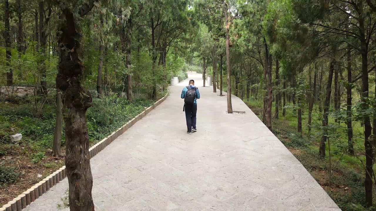 大疆御air2无人机智能跟随,在树林中...