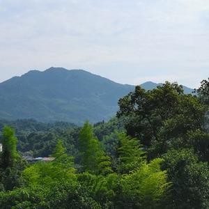 湘醴Li小曾 