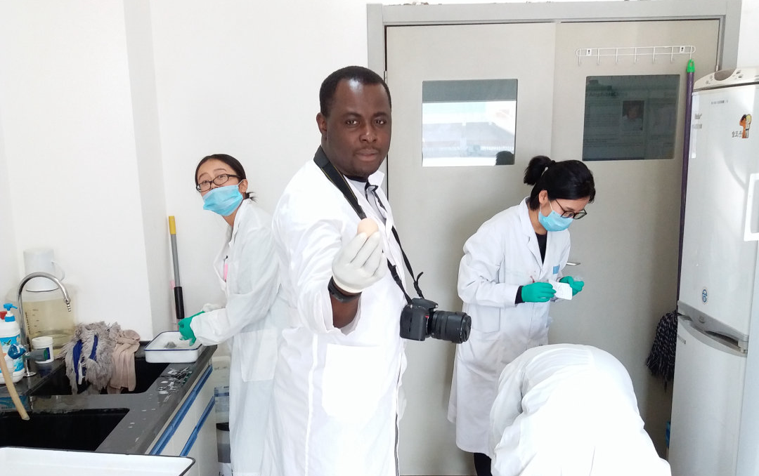 【外国专家在云南】“动物遗传学博士”查尔斯:做中非科技交流合作...