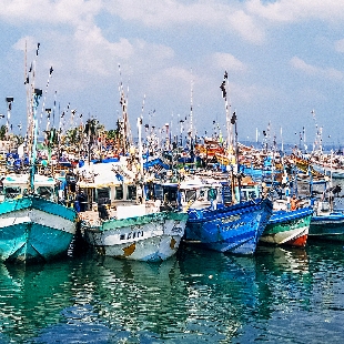 我家小可爱的专用号 