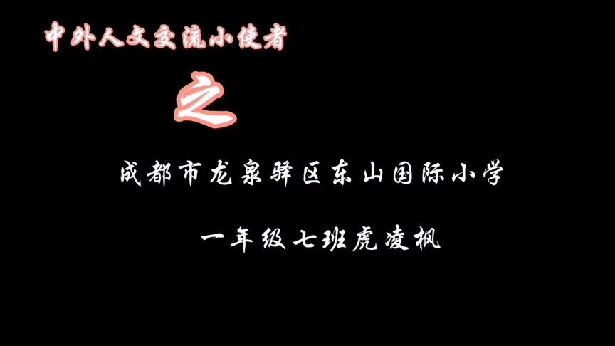 中外人文交流小使者#传统文化