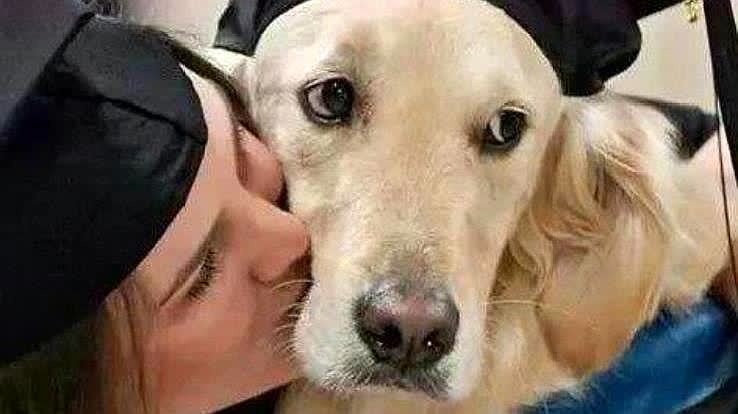 全球学历最高的狗,被授予硕士学位,佩服!