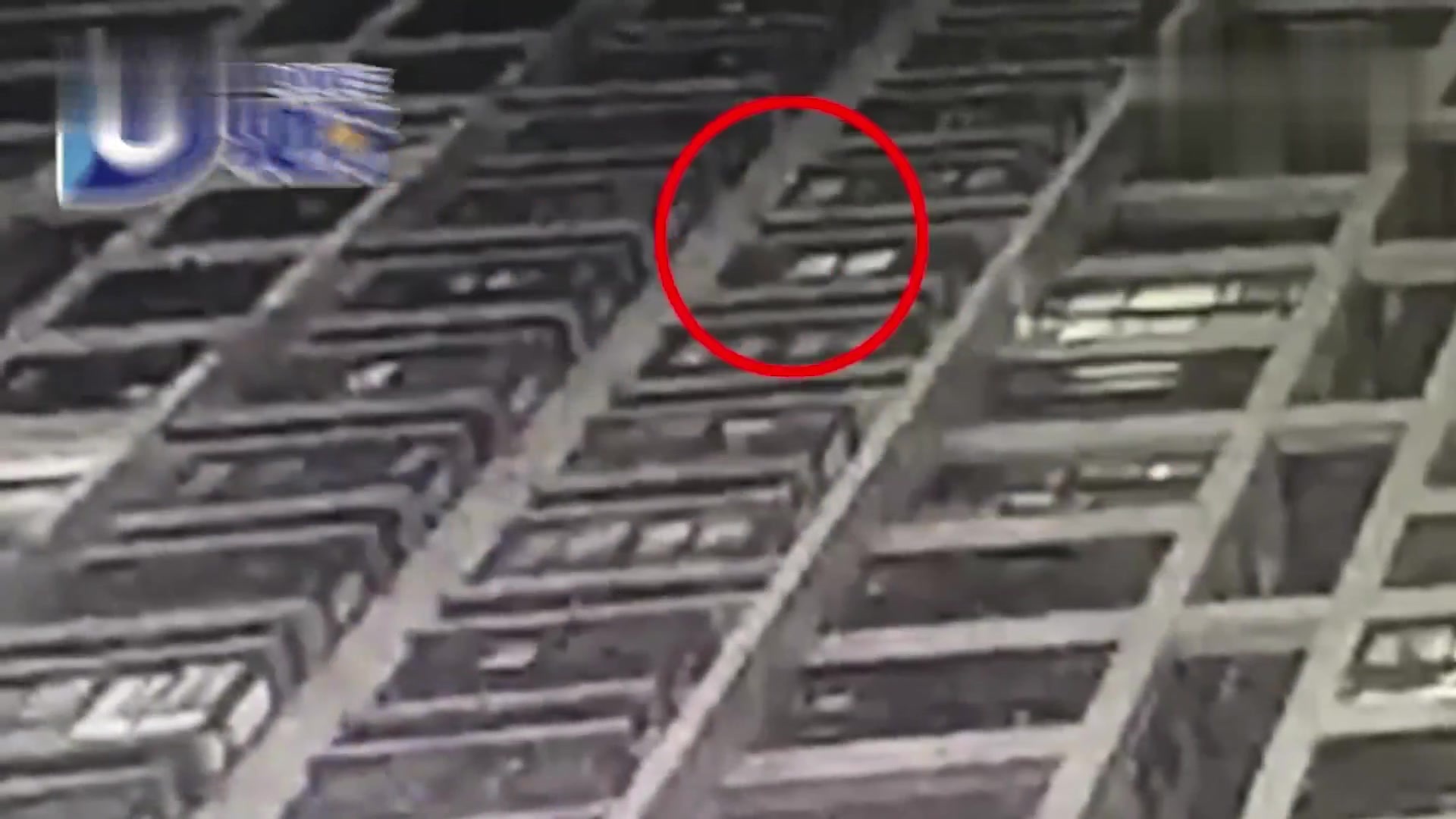 杭州一女子高空抛两袋垃圾被刑拘:袋内玻璃瓶差点砸到人