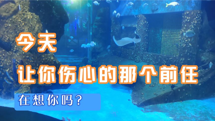 粗糙塔罗:今天让你伤心的前任在干嘛?