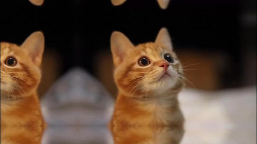 #文案 他想一想微信拍了拍老板,结果没想到当晚他就被“拍一拍