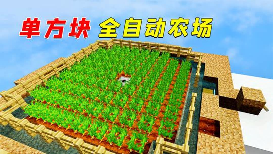 我的世界:建造自动农场!1键收菜装箱,太棒了
