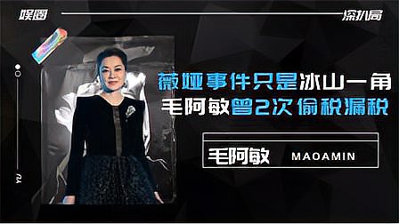 薇娅事件只是一角,毛阿敏2次逃税全身而退,背后资本令人唏嘘