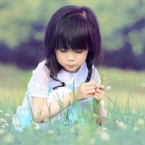 jiaer444 