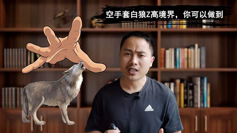 空手套白狼的商业案例,看完你也可以做到