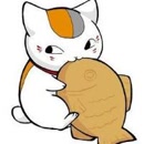 橘猫胖胖 