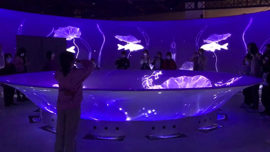 沉浸式数字体验馆展示艺术创意#沉浸式投影 #多媒体互动