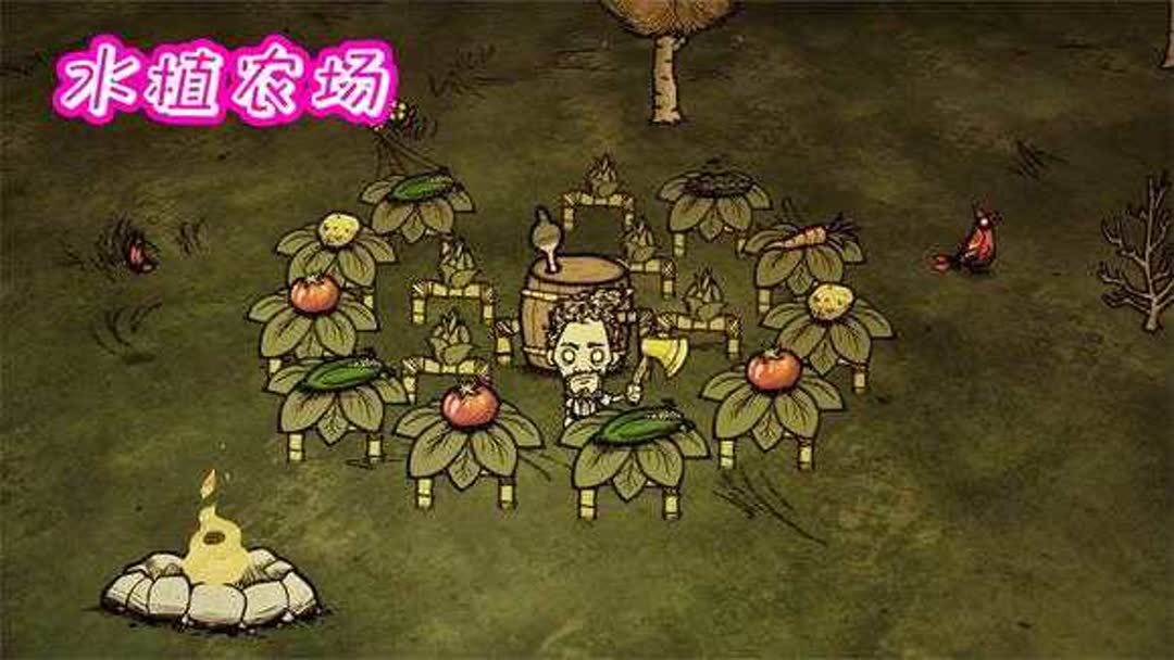 饥荒联机:传统农场种植作物效率低?试试水植农场,厨师都觉得好