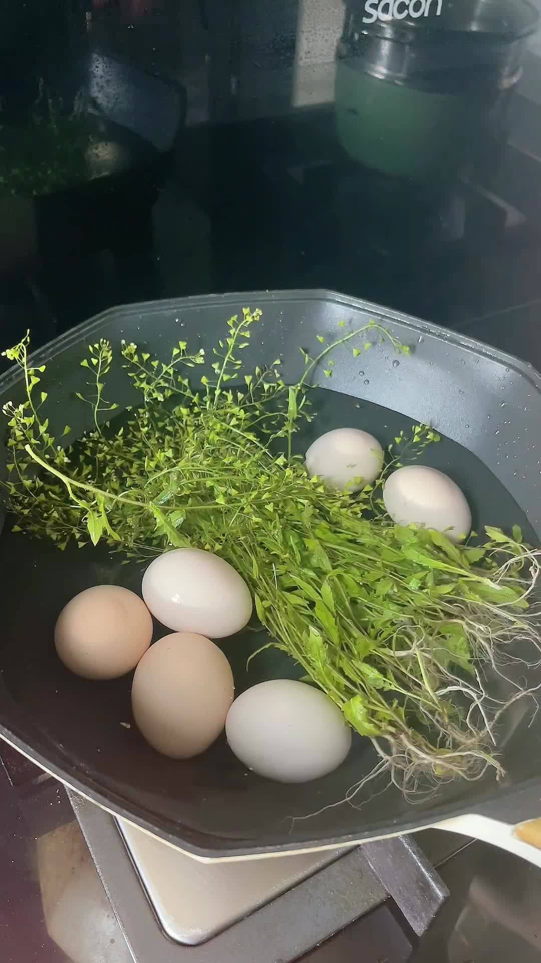 老人说农历三月三荠菜赛灵丹,用荠菜煮鸡蛋,民间的传统习俗,你吃过了吗