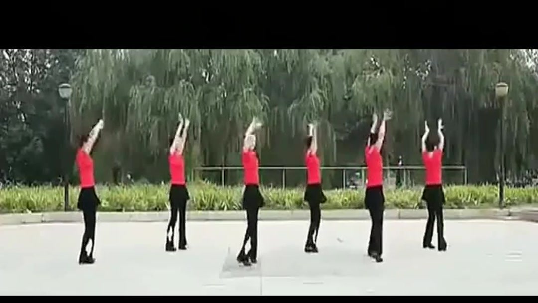 广场舞凤凰传奇广场舞教学广场舞蹈视频