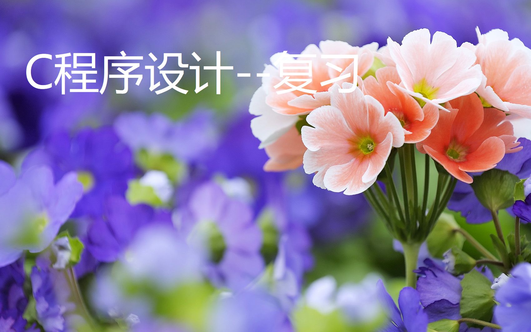 C程序设计--复习3