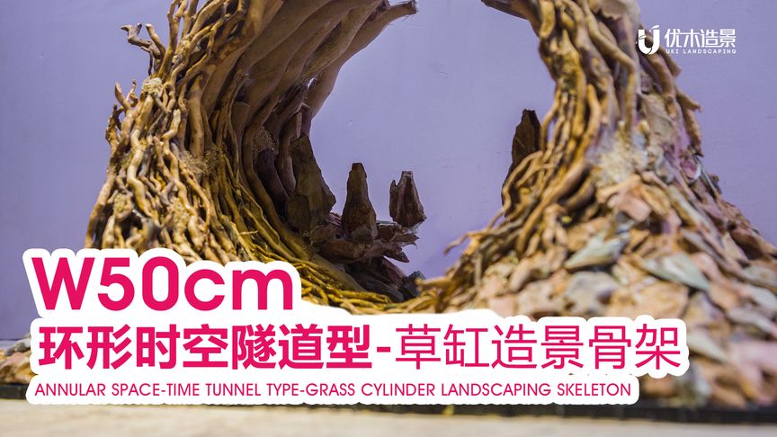 杜鹃根+松皮石制作的环形时空隧道型的草缸造景骨架