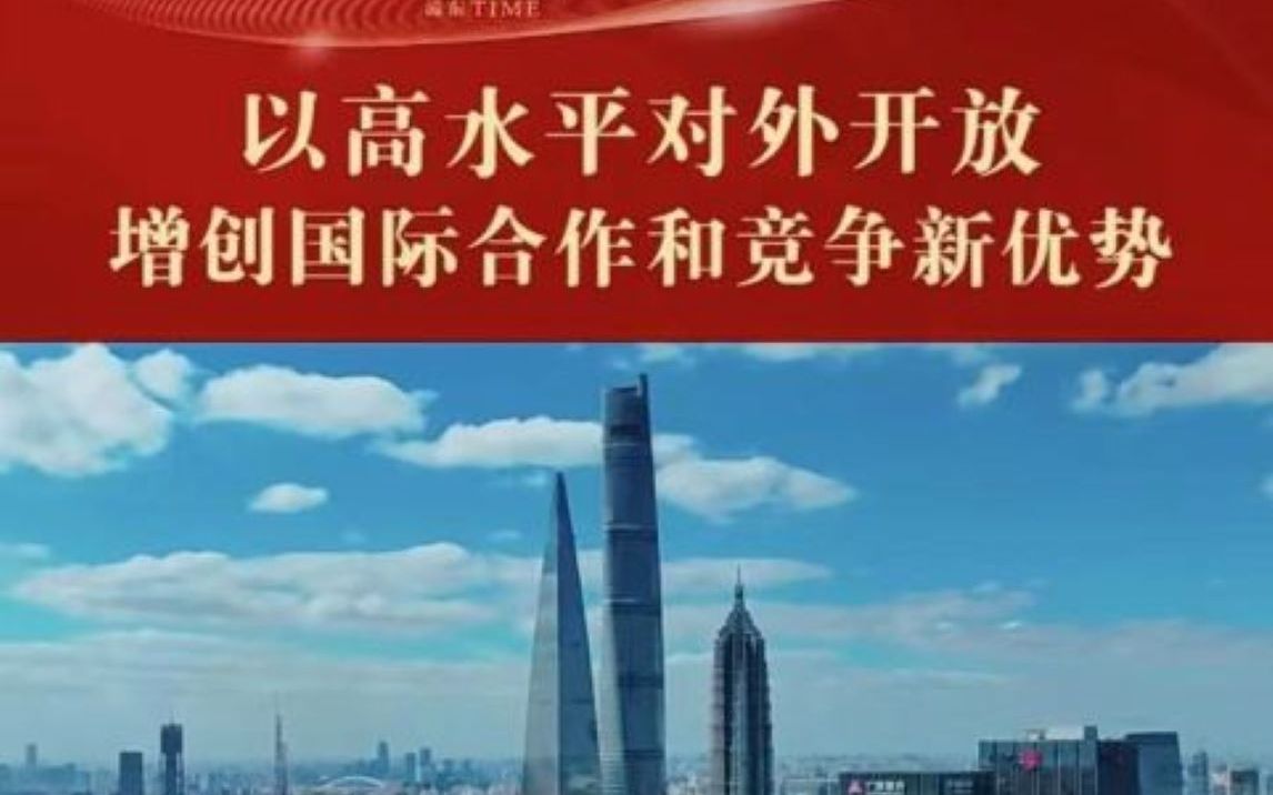 以高水平对外开放 增创国际合作和竞争新优势