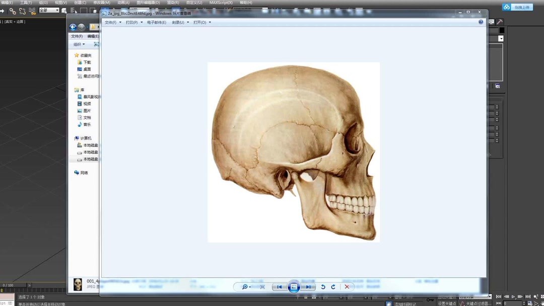 3dmax软件基础入门,基本指令第三篇,实例篇建模人体基础头部