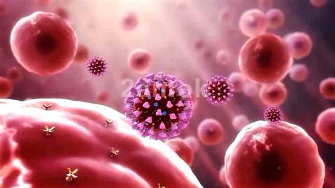 冠状病毒入侵正常人体组织细胞动画-视频素材-凌晨两点视频素材网