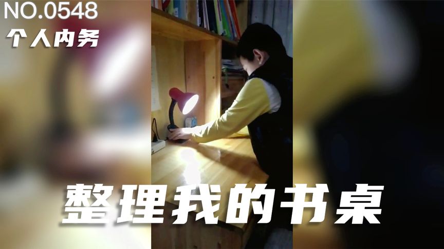 【家庭劳动教育】0548刘皓阳的个人内务,整理我的书桌,你会吗