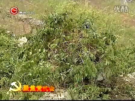 建设坚强战斗堡垒 扎根基层服务发展 120417 贵州新闻