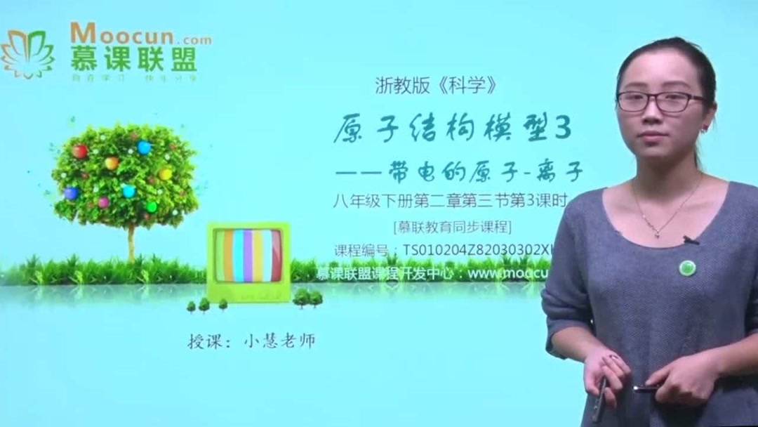 2.3.3带电的原子--离子