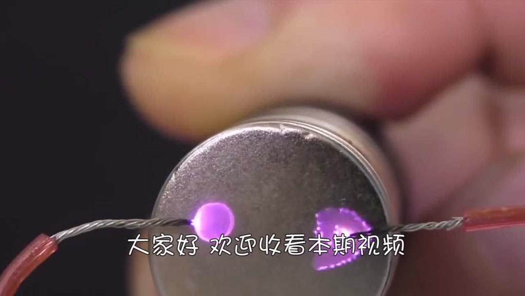 电是人类的福音,却给一些动物带来了烦恼