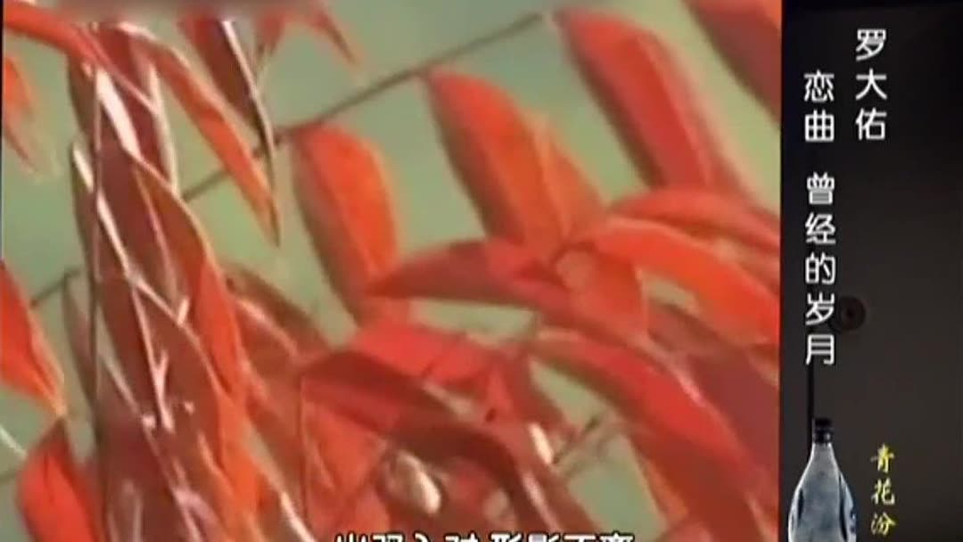 档案 罗大佑:恋曲 曾经的岁月