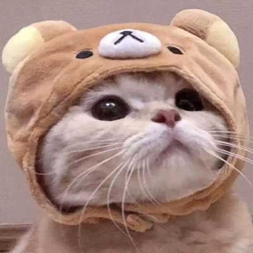 打球球的小男孩 