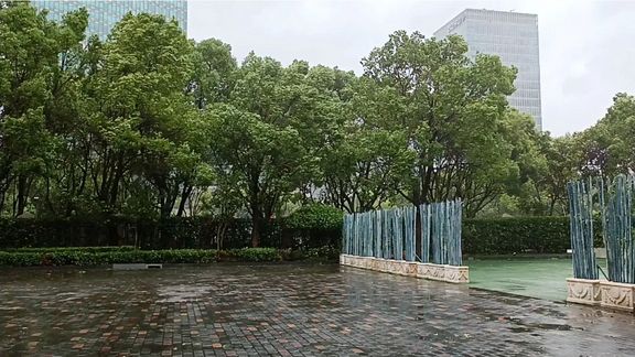 上海台风也厉害,都别出门,在家老实待着吧!
