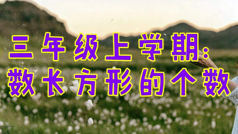 三年级上:数长方形的个数