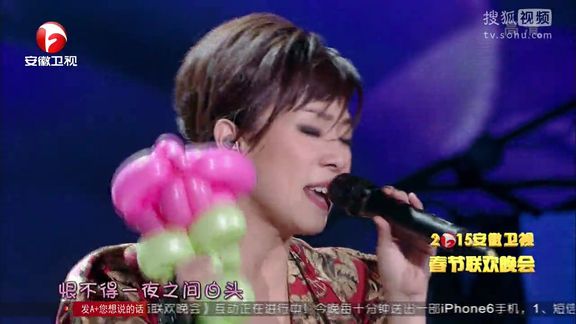 林忆莲现场经典歌曲联唱