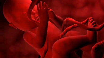 你知道生命的诞生是多么神奇吗?