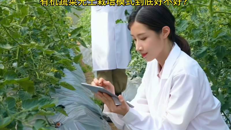 有机蔬菜无土栽培种植模式你了解多少?