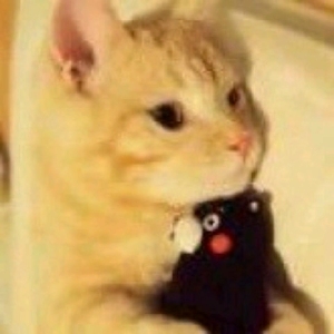 CG啊啊啊啊啊啊 